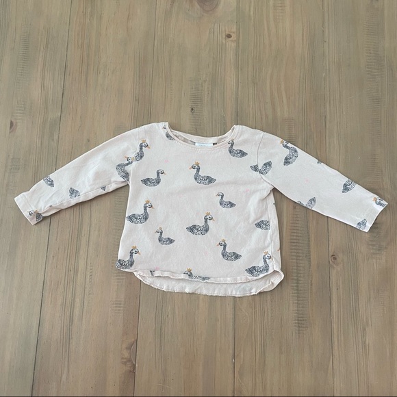 Zara | Shirts & Tops | Zara Top Baby 69m Blush Light Pink Black Swan Crown Long Sleeve Shirt ...